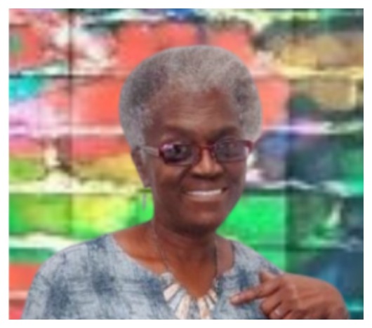 Development Assistant